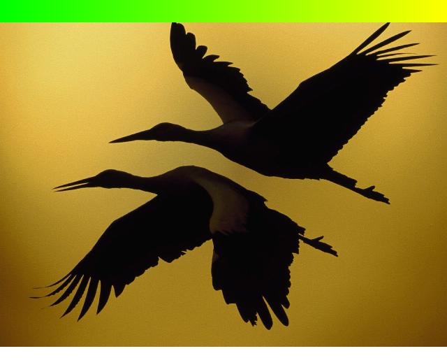 EB8CUR - Callsign Lookup by QRZ Ham Radio